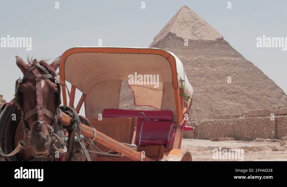 Horse pyramid Stock Videos & Footage - HD and 4K Video Clips - Alamy