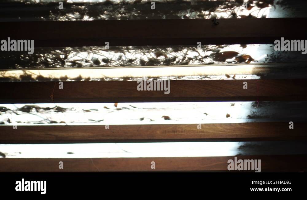 Transparent roof tile Stock Videos & Footage - HD and 4K Video Clips ...