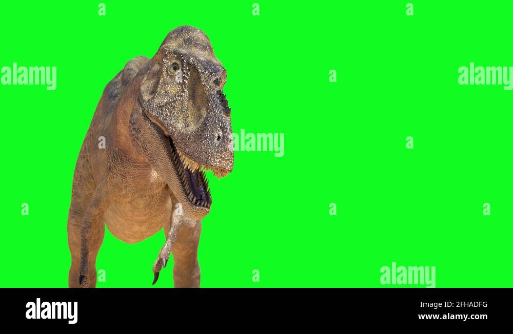 Tyrannosaurus rex dinosaurs background 3d Stock Videos & Footage - HD and 4K Video Clips - Alamy