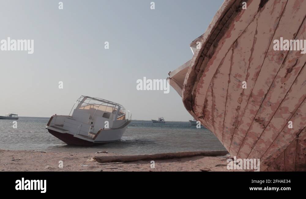 Sea shells washed up on the shore Stock Videos & Footage - HD and 4K ...