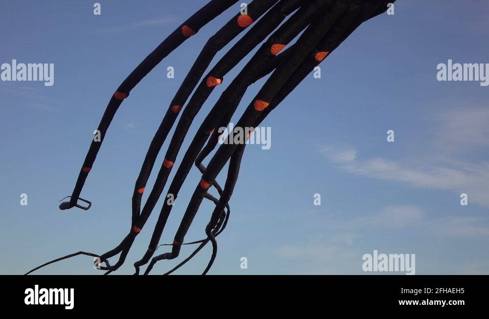 Kite balloon Stock Videos & Footage - HD and 4K Video Clips - Alamy