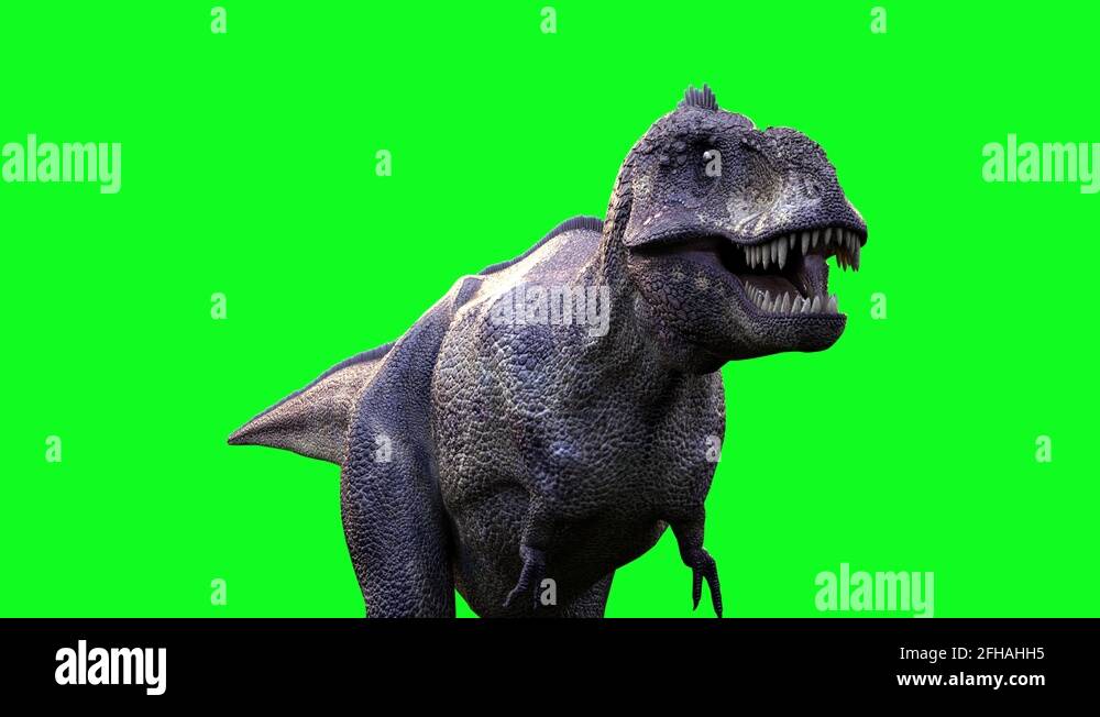 3d digital render running dinosaur Stock Videos & Footage - HD and 4K ...