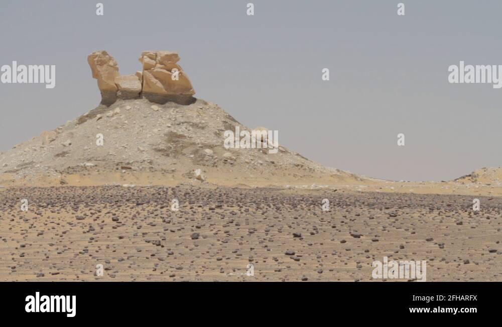 Saharan Stock Videos & Footage - HD and 4K Video Clips - Alamy