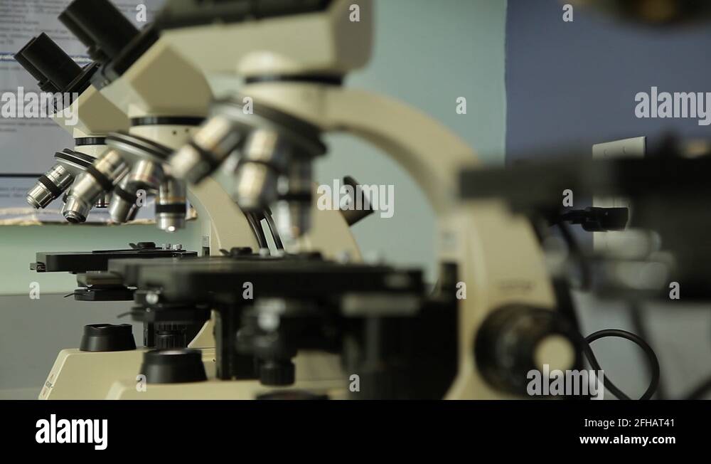 Microscopes slides Stock Videos & Footage - HD and 4K Video Clips - Alamy