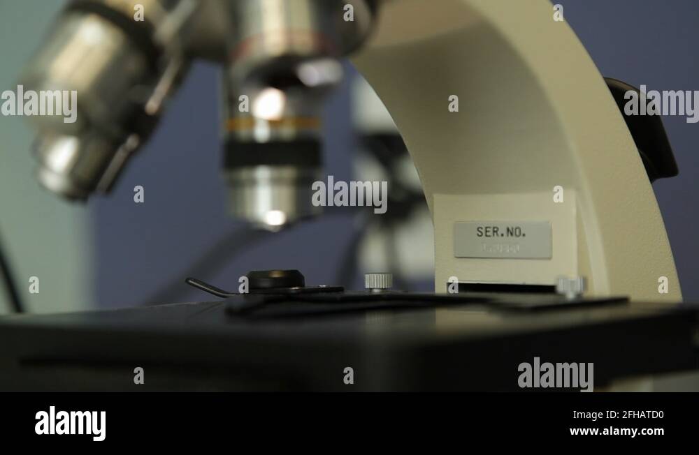 Microscope slide slides Stock Videos & Footage - HD and 4K Video Clips ...