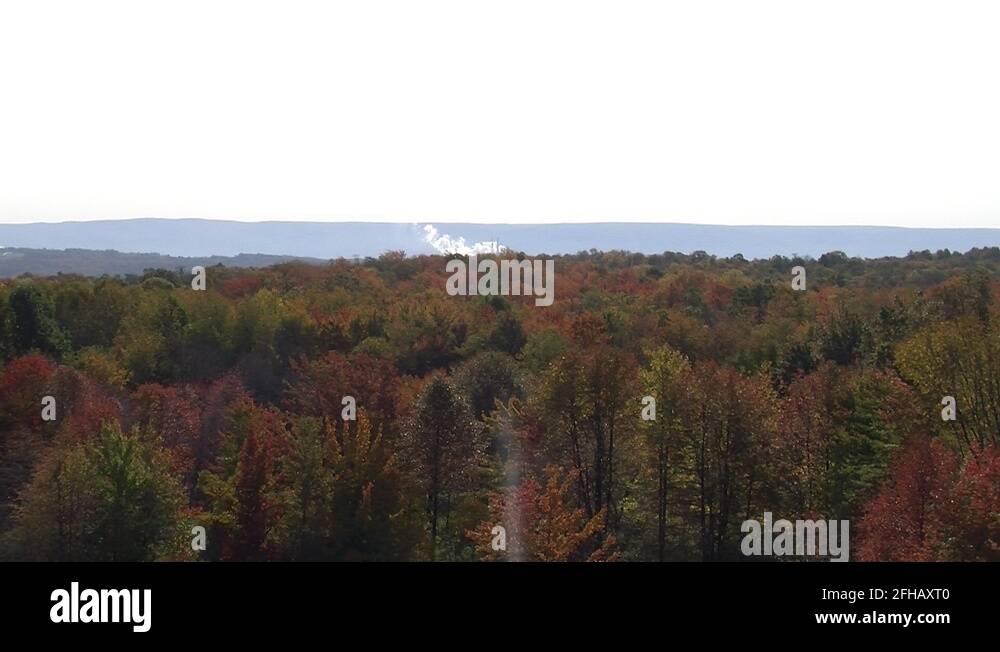 Treescape Stock Videos & Footage - HD and 4K Video Clips - Alamy