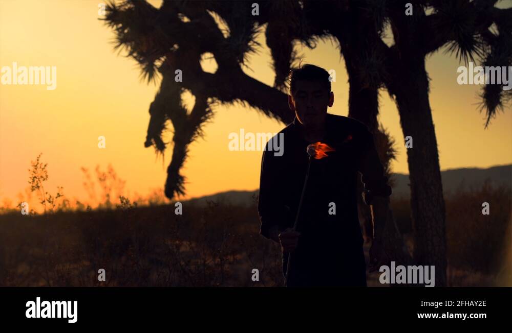 Daredevil silhouette Stock Videos & Footage - HD and 4K Video Clips - Alamy