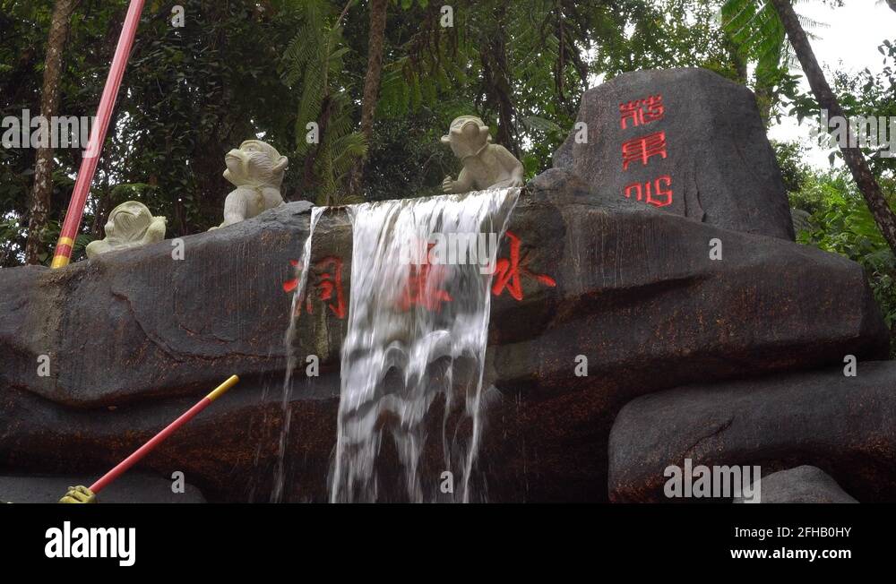 Monkey at the temple Stock Videos & Footage - HD and 4K Video Clips - Alamy