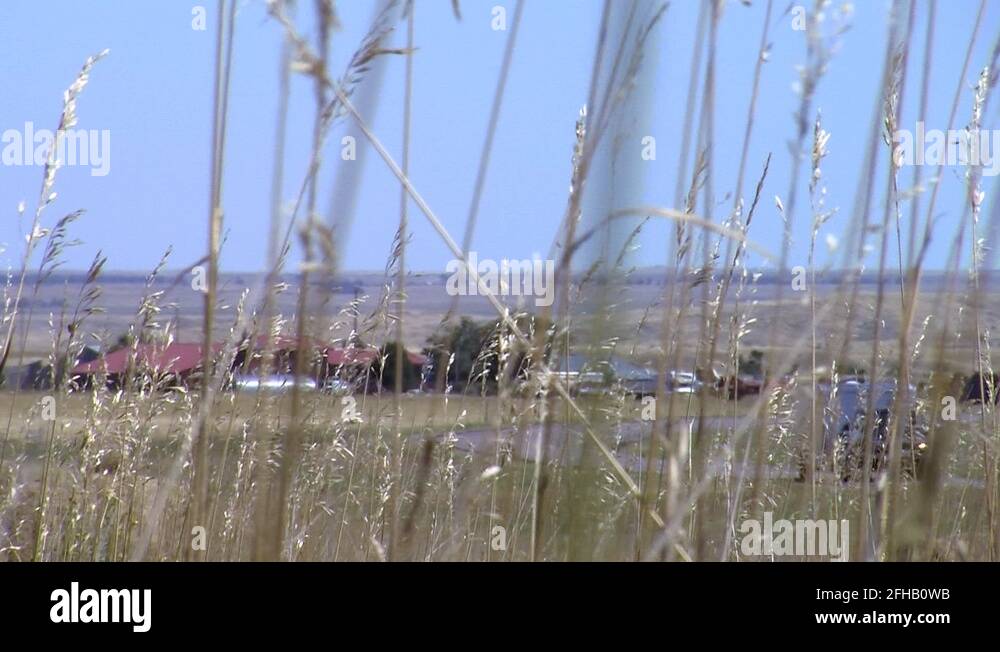 Cars and a bike drive around a corner seen through a field Stock Video ...