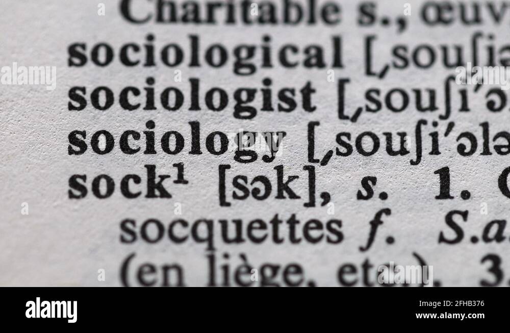 Sociology word Stock Videos & Footage - HD and 4K Video Clips - Alamy