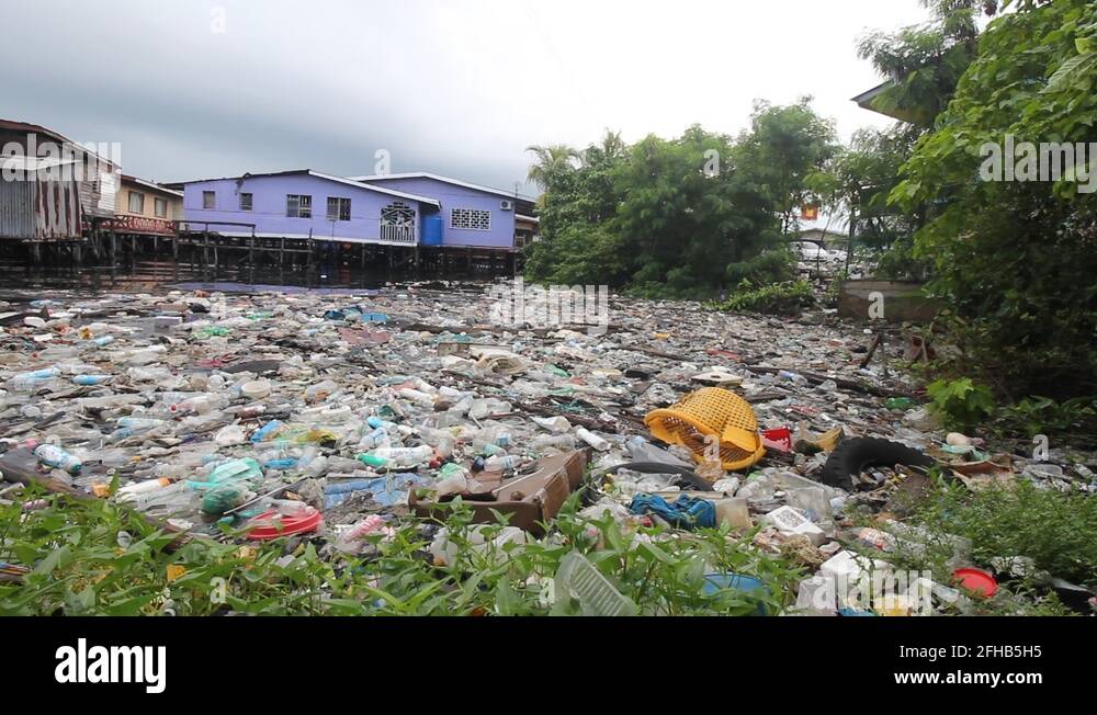 Plastic pollution cleanup Stock Videos & Footage - HD and 4K Video ...