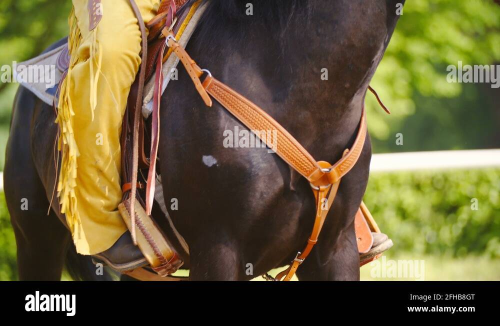 Cowboy stirrup Stock Videos & Footage - HD and 4K Video Clips - Alamy