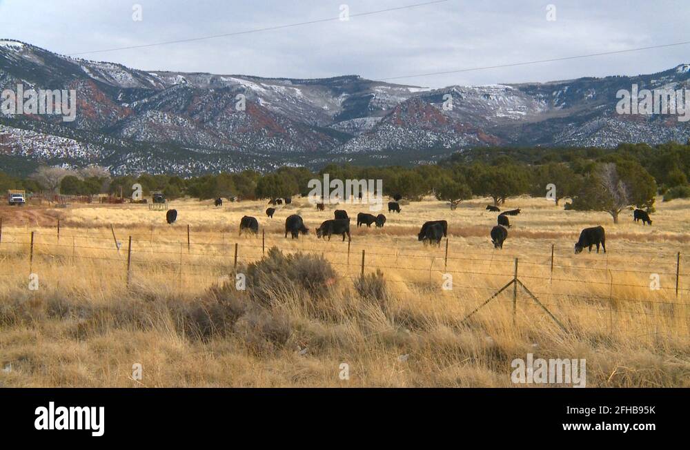 Utah agriculture Stock Videos & Footage - HD and 4K Video Clips - Alamy