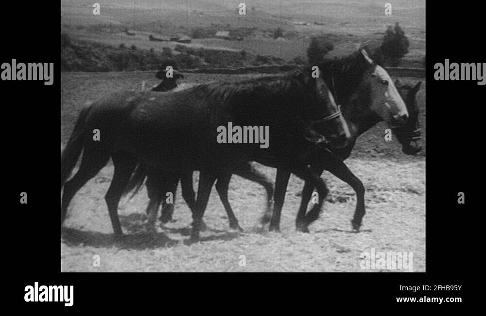Hay rake circle Stock Videos & Footage - HD and 4K Video Clips - Alamy