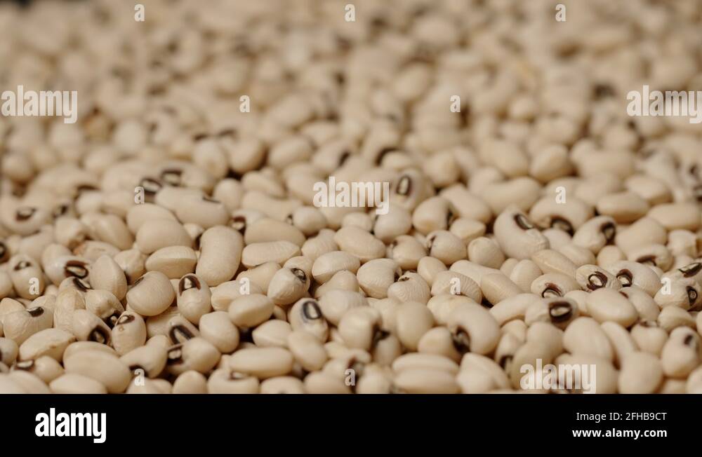 Explosion of beans Stock Videos & Footage - HD and 4K Video Clips - Alamy