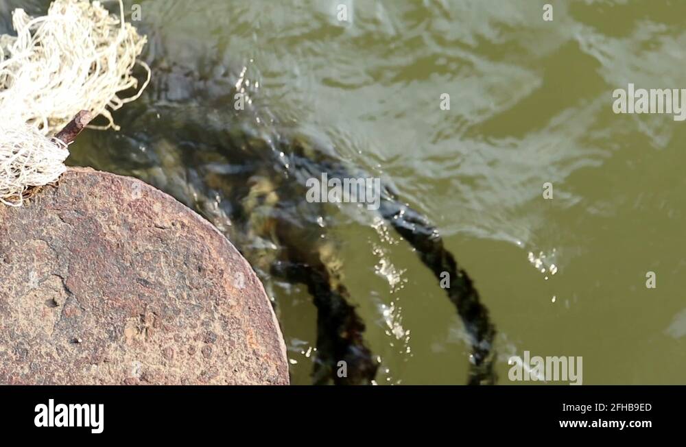 Old metal mooring post and floating ropes Stock Video Footage - Alamy