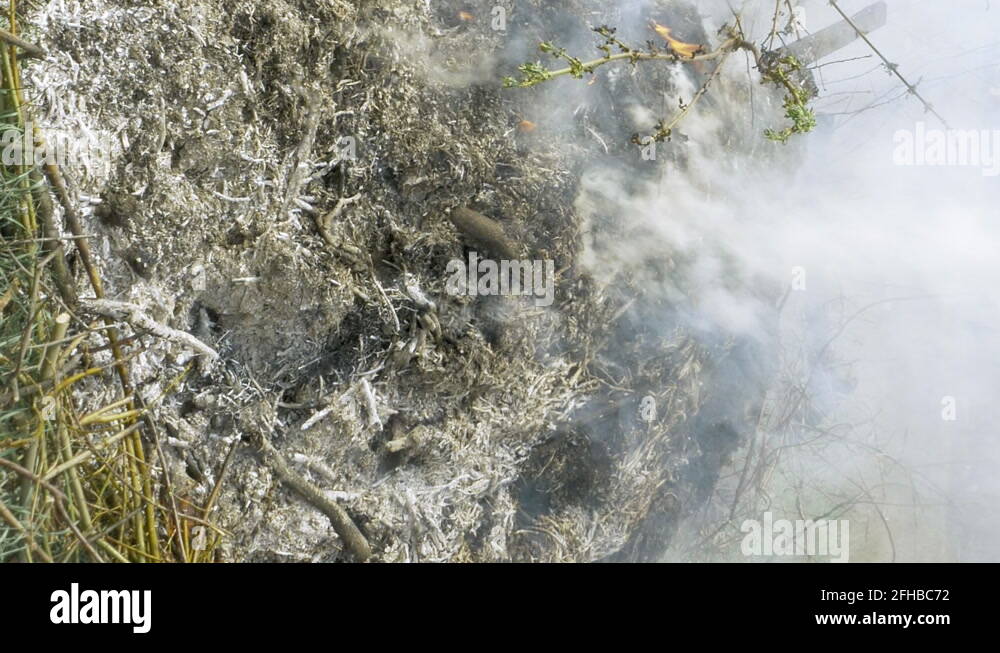Heavy dense smoke Stock Videos & Footage - HD and 4K Video Clips - Alamy