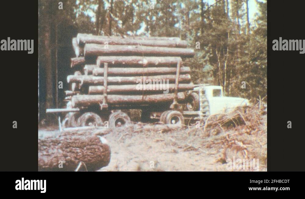 Logs falling Stock Videos & Footage - HD and 4K Video Clips - Alamy