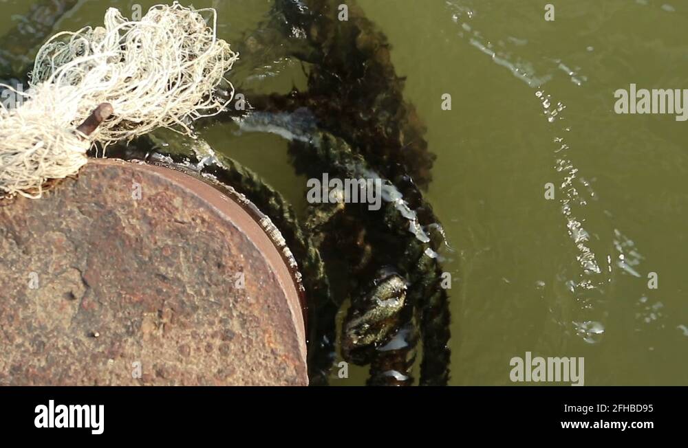 Old metal mooring post and floating ropes Stock Video Footage - Alamy