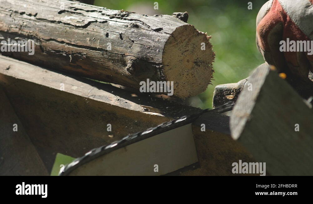Sawing a wooden plank with a chainsaw, the gardener's hands hold the ...