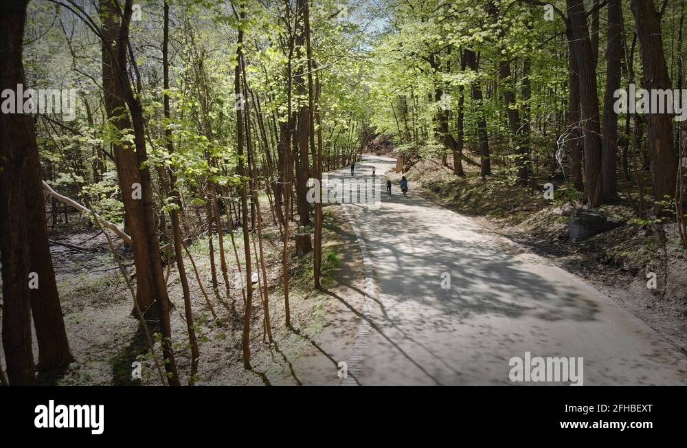 Cycling path lighting Stock Videos & Footage - HD and 4K Video Clips ...