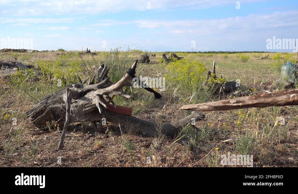 Ukrainian ribbon Stock Videos & Footage - HD and 4K Video Clips - Alamy
