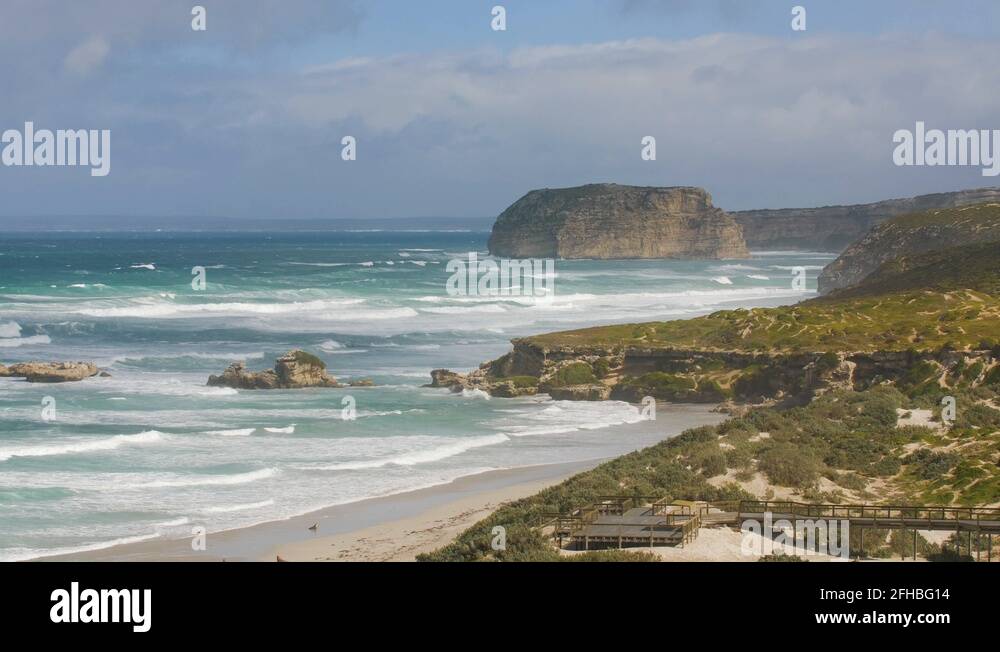 National seals Stock Videos & Footage - HD and 4K Video Clips - Alamy