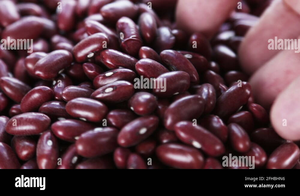 Bean texture Stock Videos & Footage - HD and 4K Video Clips - Alamy