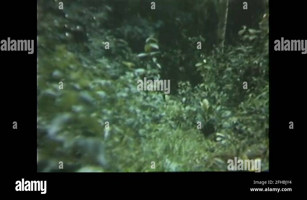 Wartime explosion Stock Videos & Footage - HD and 4K Video Clips - Alamy