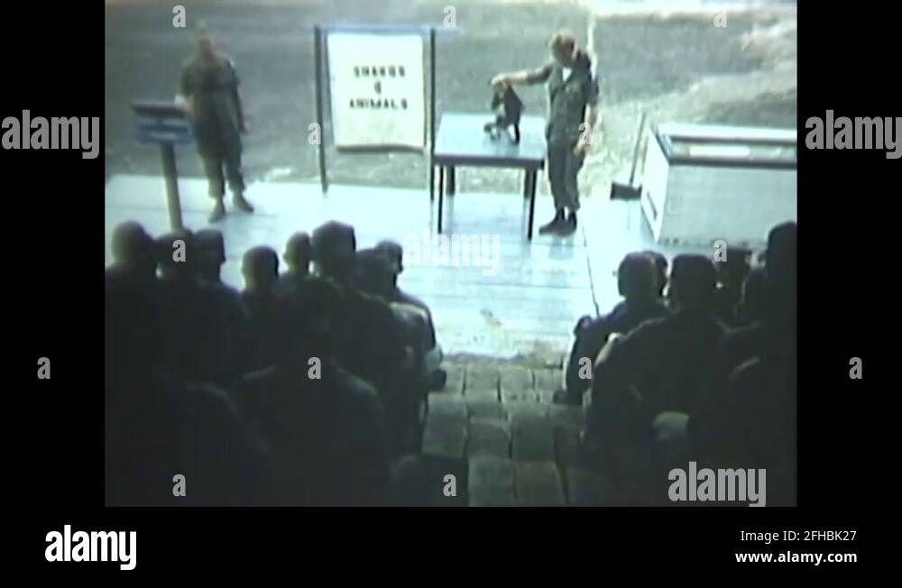 Monkey army Stock Videos & Footage - HD and 4K Video Clips - Alamy