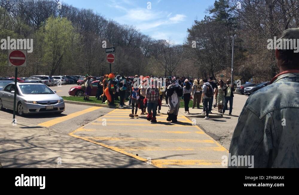 High park road Stock Videos & Footage - HD and 4K Video Clips - Alamy