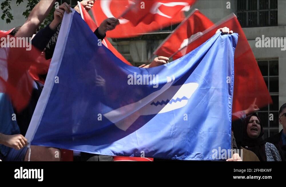 Grey wolf flag Stock Videos & Footage - HD and 4K Video Clips - Alamy