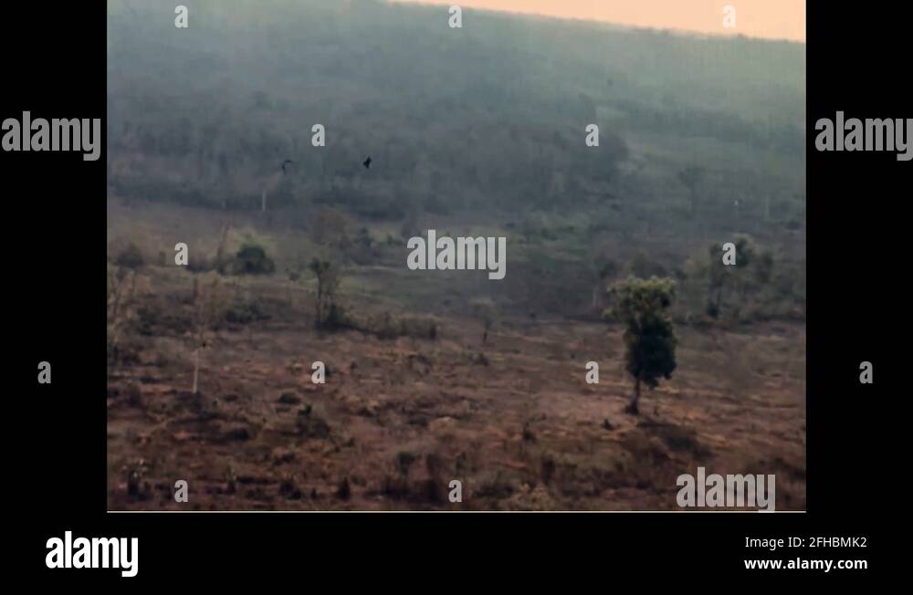 Napalm vietnam war Stock Videos & Footage - HD and 4K Video Clips - Alamy