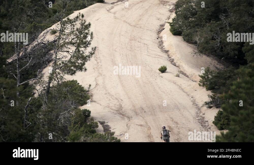 Steep path forest Stock Videos & Footage - HD and 4K Video Clips - Alamy