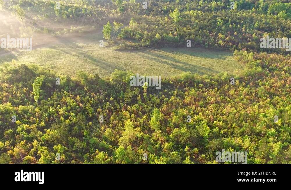 Sunrise field Stock Videos & Footage - HD and 4K Video Clips - Alamy