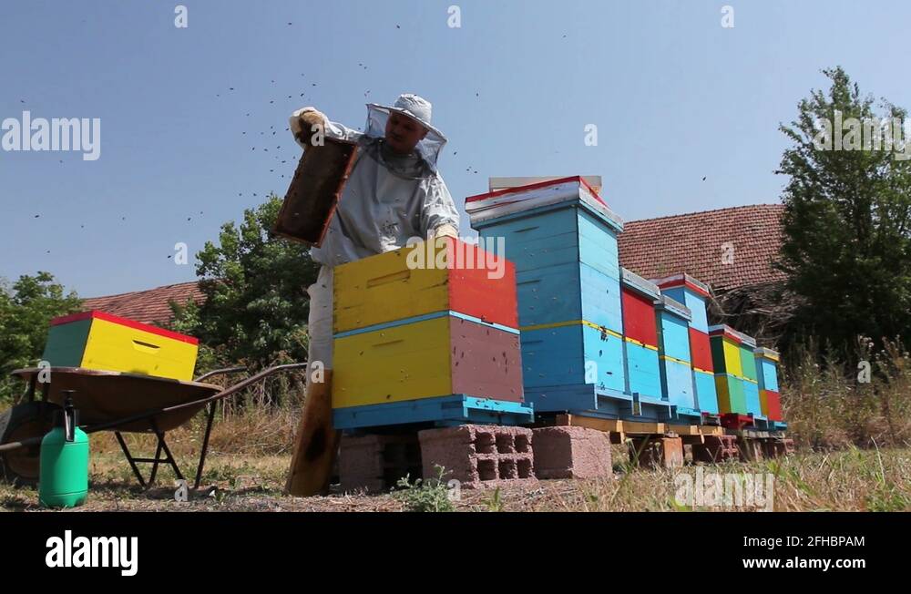 Beehive cart Stock Videos & Footage - HD and 4K Video Clips - Alamy