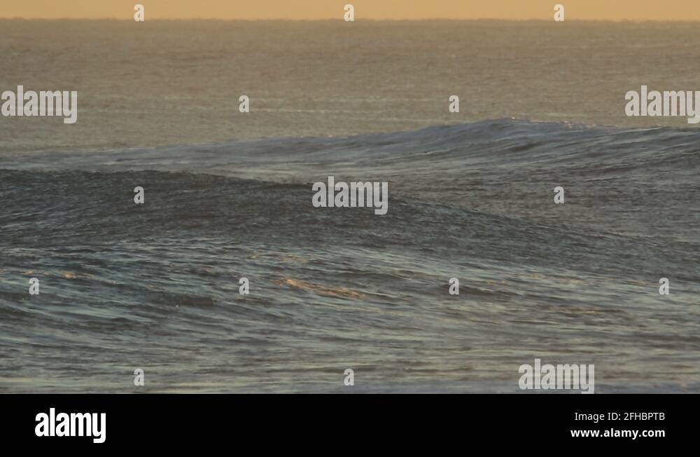 Oceanic Stock Videos & Footage - HD and 4K Video Clips - Alamy