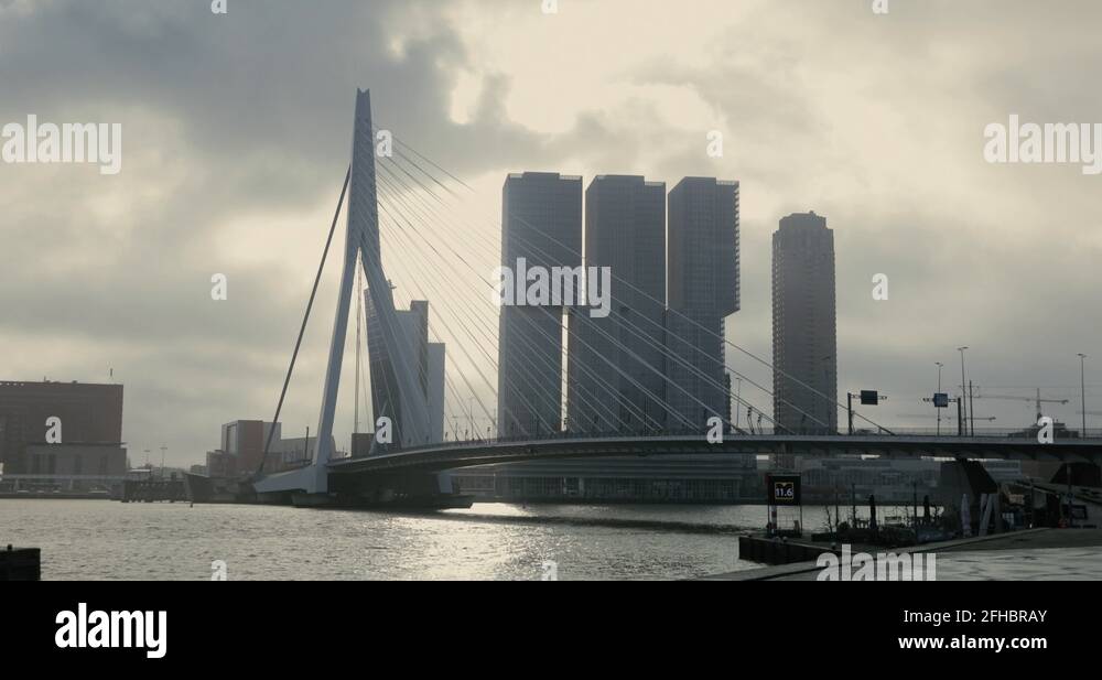 Erasmus rotterdam Stock Videos & Footage - HD and 4K Video Clips - Alamy