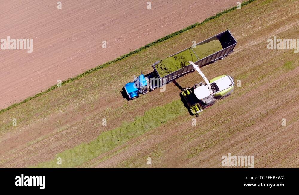 Farm Machine and semi truck harvesting crop from field Stock Video ...