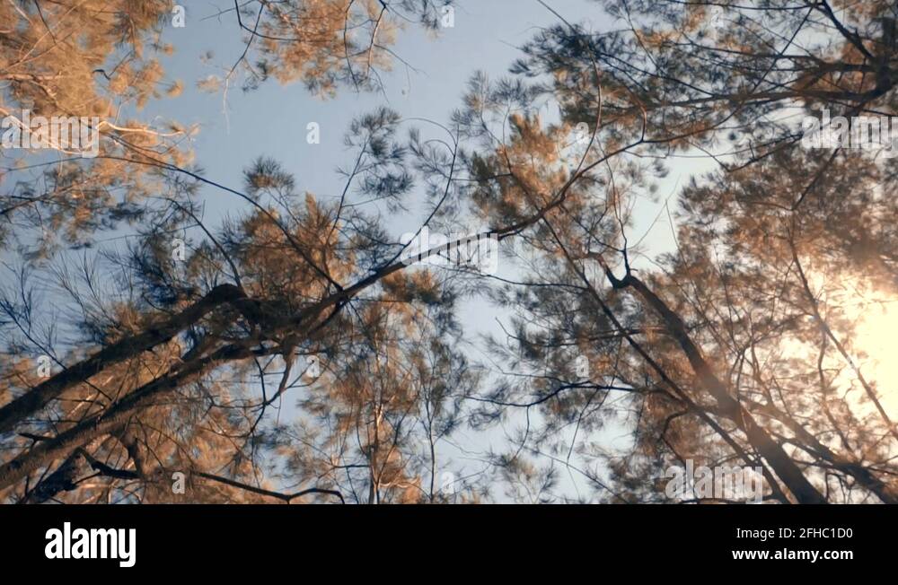 What to see and do in sydney Stock Videos & Footage - HD and 4K Video ...