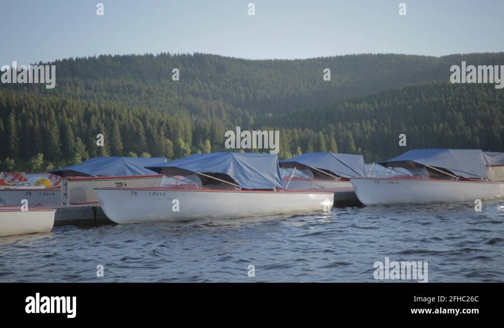 Floating forest boats Stock Videos & Footage - HD and 4K Video Clips ...
