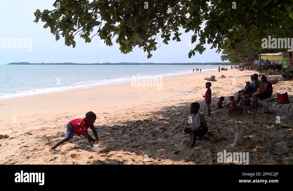 Young kids playing under a big tree Stock Video Footage - Alamy