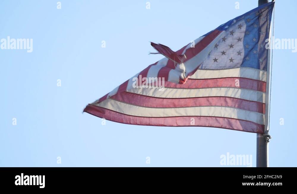 Faded flag Stock Videos & Footage - HD and 4K Video Clips - Alamy
