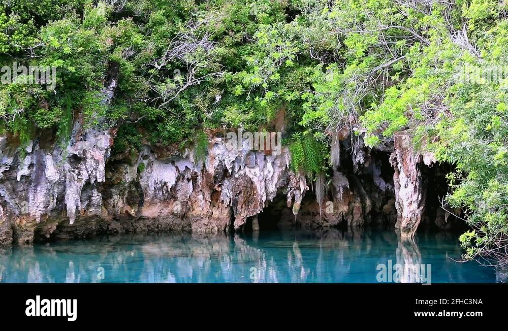 Bermuda Blue Hole Park Known as Tom Moores Jungle Stock Video Footage ...