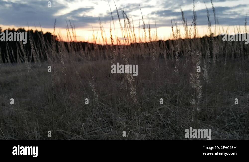 Beautiful windy Stock Videos & Footage - HD and 4K Video Clips - Alamy