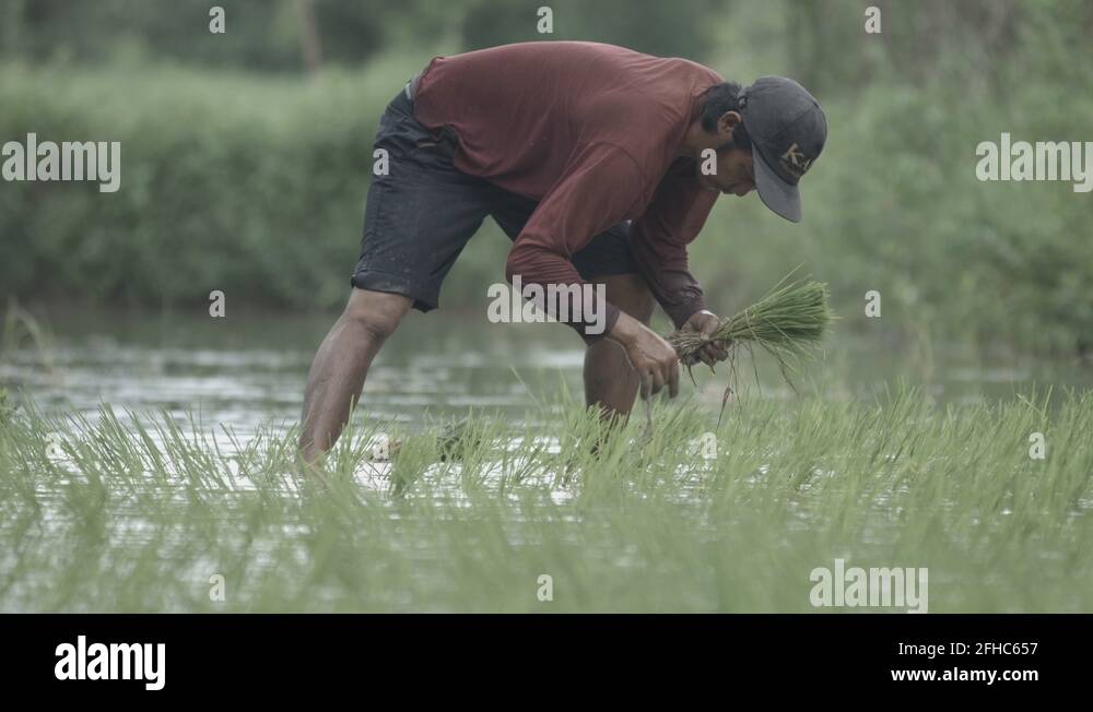Filipino work Stock Videos & Footage - HD and 4K Video Clips - Alamy