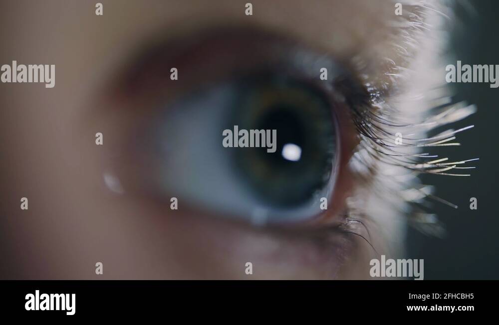 Eye sights Stock Videos & Footage - HD and 4K Video Clips - Alamy
