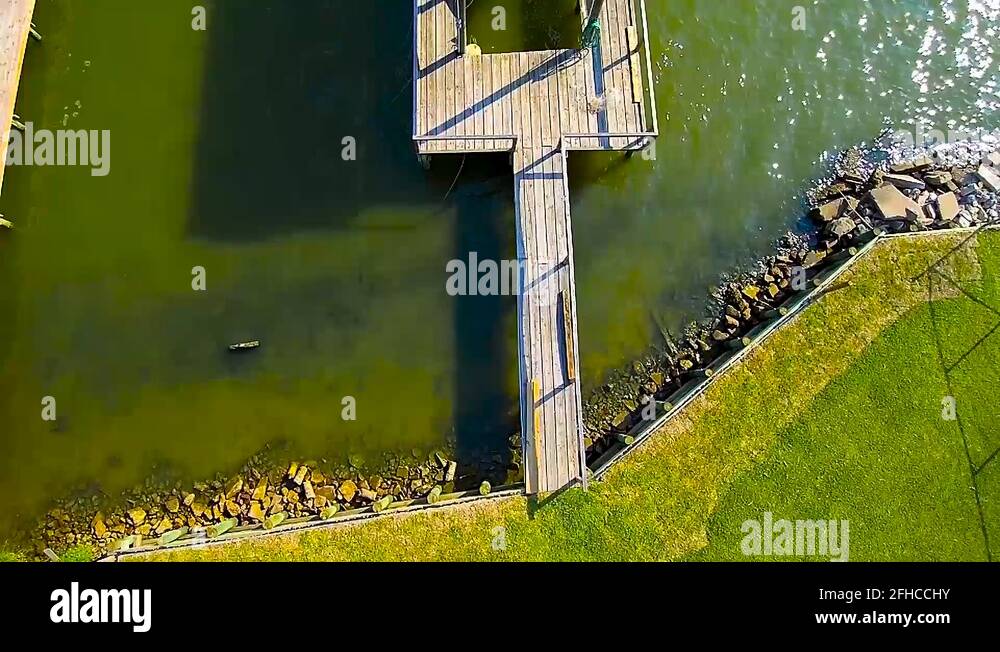 Boat dock duck Stock Videos & Footage - HD and 4K Video Clips - Alamy