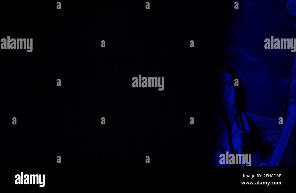 Blue skeleton Stock Videos & Footage - HD and 4K Video Clips - Alamy