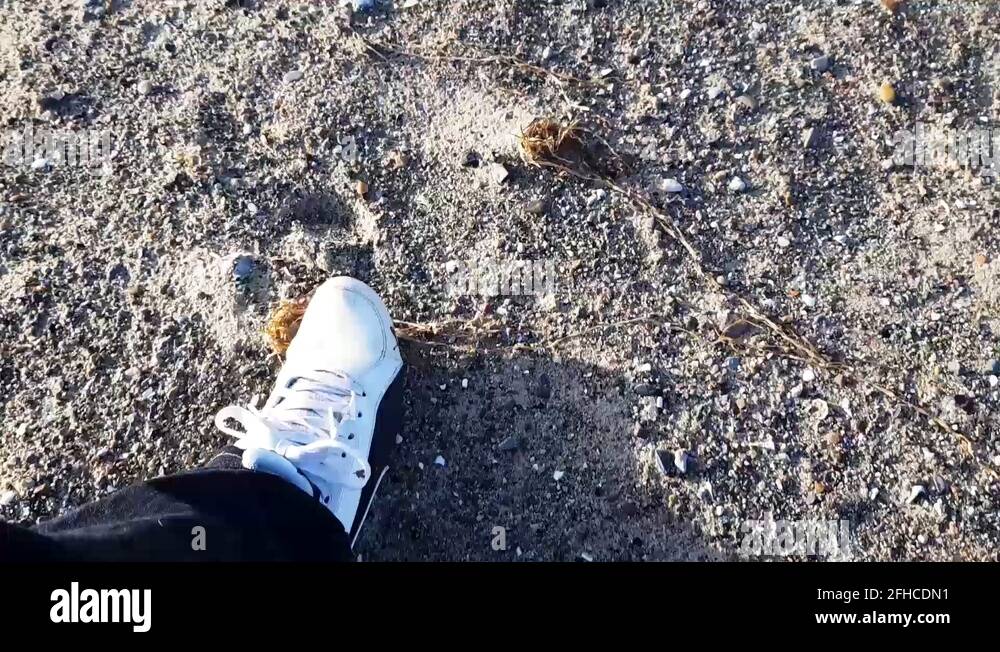 Walk at the beach Stock Videos & Footage - HD and 4K Video Clips - Alamy